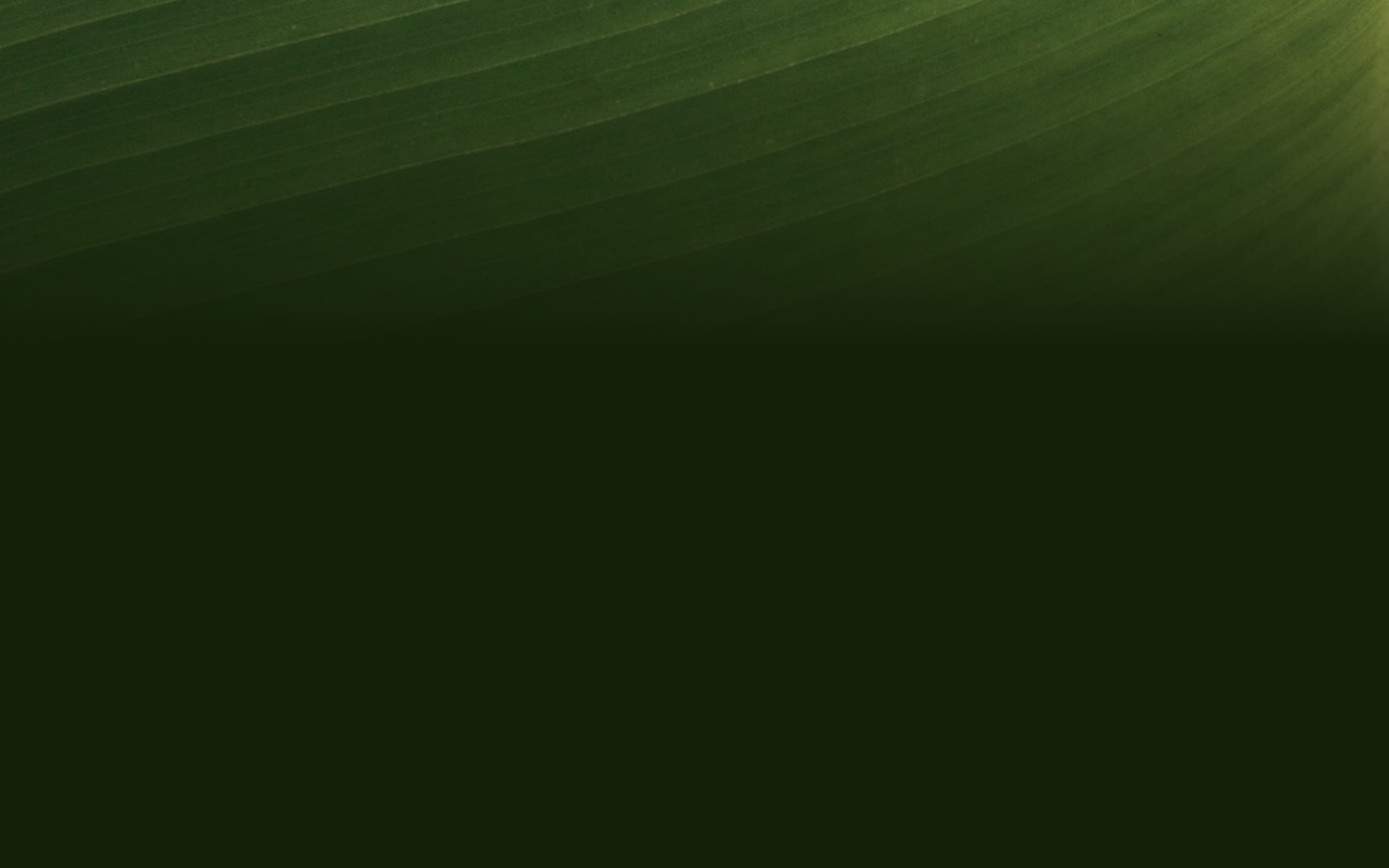 Meditation Moments - Ontspanning