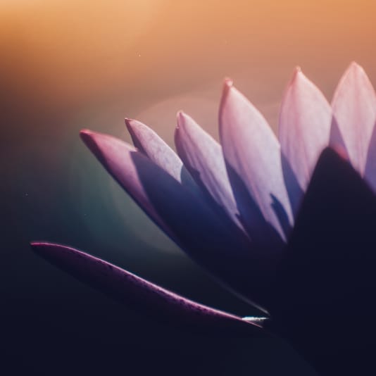 Meditation Moments - De kracht van ademhaling